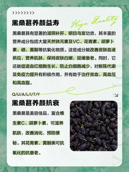 黑桑葚的功效与作用_黑桑葚的食用禁忌-第2张图片-山城妙识