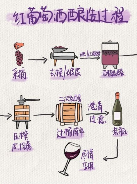 葡萄酒的做法_自酿葡萄酒的步骤-第1张图片-山城妙识
