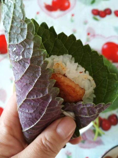 紫苏叶怎么腌制_紫苏叶腌制最简单的方法-第2张图片-山城妙识