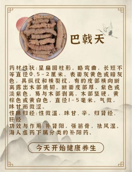 巴戟天的功效与作用_巴戟天主治哪些疾病-第2张图片-山城妙识