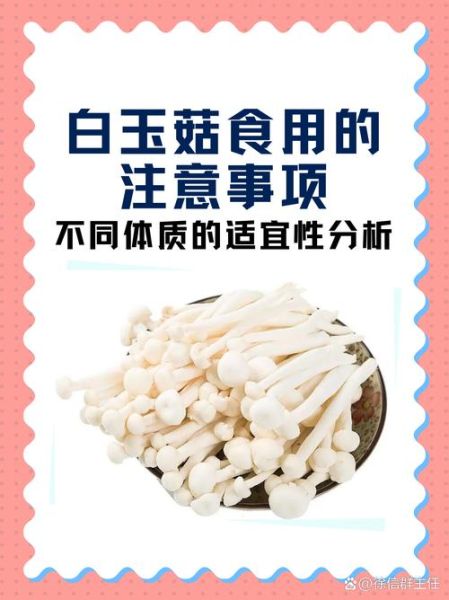 白玉菇的营养价值_白玉菇怎么吃最健康-第1张图片-山城妙识