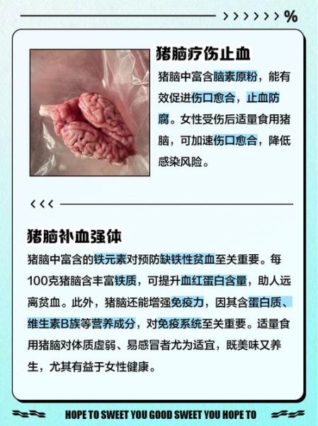猪脑的营养价值_猪脑吃了有什么好处-第2张图片-山城妙识