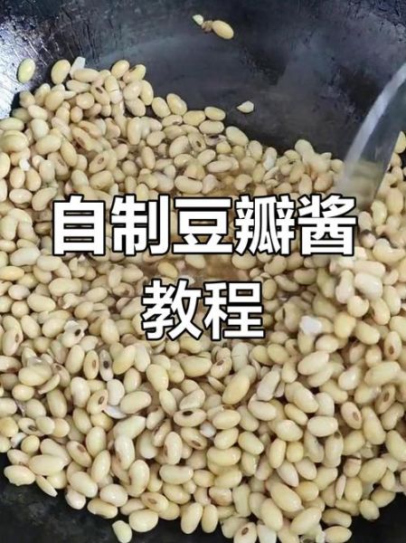 正宗豆瓣酱怎么做_家庭自制川味豆瓣酱详细步骤-第1张图片-山城妙识 正宗豆瓣酱怎么做_家庭自制川味豆瓣酱详细步骤-第1张图片-山城妙识