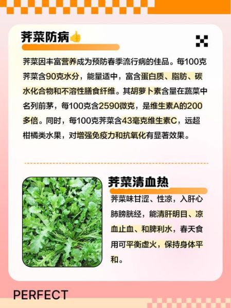 吃荠菜有什么好处和坏处_荠菜吃多了会怎样-第1张图片-山城妙识
