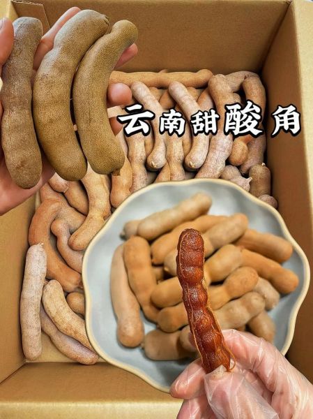 酸角是哪里的特产_酸角产地哪里最正宗-第1张图片-山城妙识