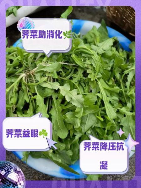 吃荠菜有什么好处和坏处_荠菜吃多了会怎样-第3张图片-山城妙识