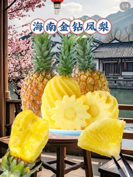 金边菠萝的功效与作用_金边菠萝怎么吃最好-第3张图片-山城妙识