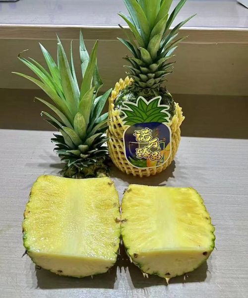 金边菠萝的功效与作用_金边菠萝怎么吃最好-第2张图片-山城妙识