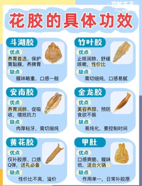 鱼胶有什么营养价值_鱼胶的功效与作用-第1张图片-山城妙识