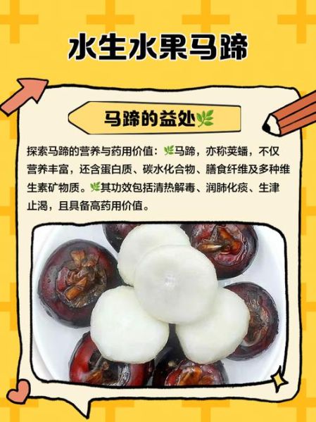 马蹄水果的功效与作用_马蹄水果能减肥吗-第2张图片-山城妙识