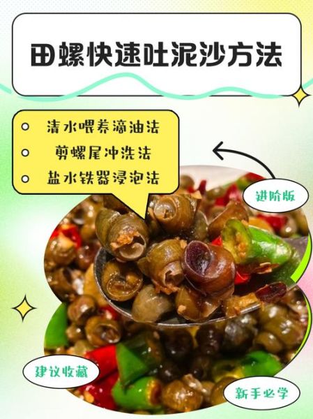 田螺吐泥放盐会不会死_田螺吐泥放盐多久合适-第2张图片-山城妙识