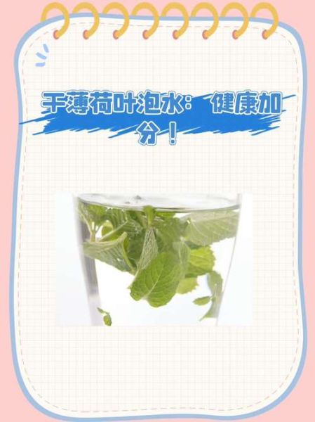 薄荷叶泡水用开水还是温水_薄荷叶泡水水温多少合适-第1张图片-山城妙识 薄荷叶泡水用开水还是温水_薄荷叶泡水水温多少合适-第1张图片-山城妙识