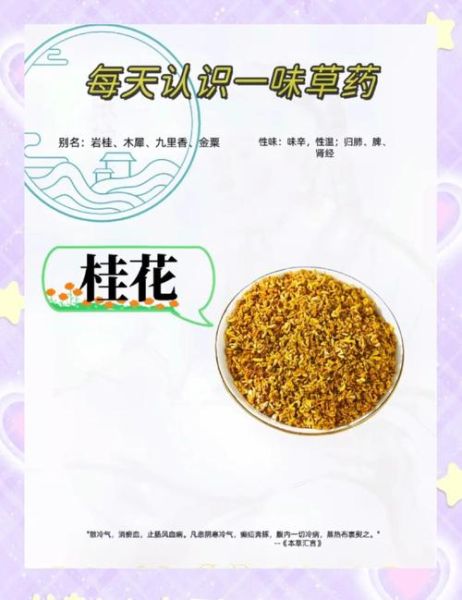 桂花怎么吃_桂花有哪些经典吃法-第2张图片-山城妙识 桂花怎么吃_桂花有哪些经典吃法-第2张图片-山城妙识