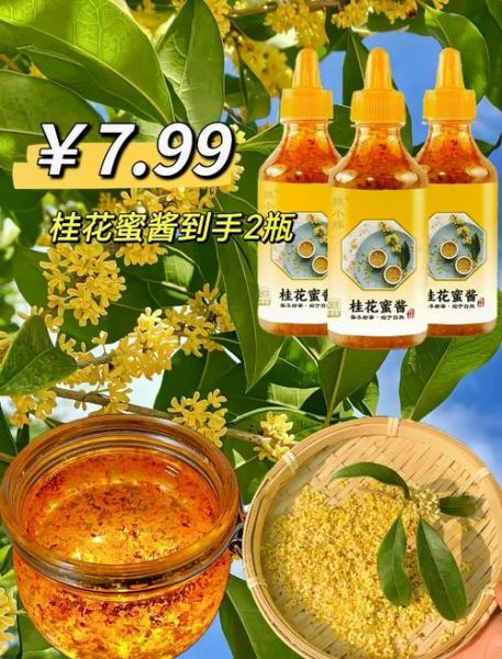 桂花怎么吃_桂花有哪些经典吃法-第3张图片-山城妙识 桂花怎么吃_桂花有哪些经典吃法-第3张图片-山城妙识