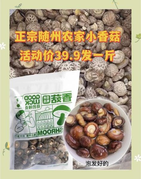 香菇销售渠道有哪些_香菇怎么卖得快-第3张图片-山城妙识 香菇销售渠道有哪些_香菇怎么卖得快-第3张图片-山城妙识