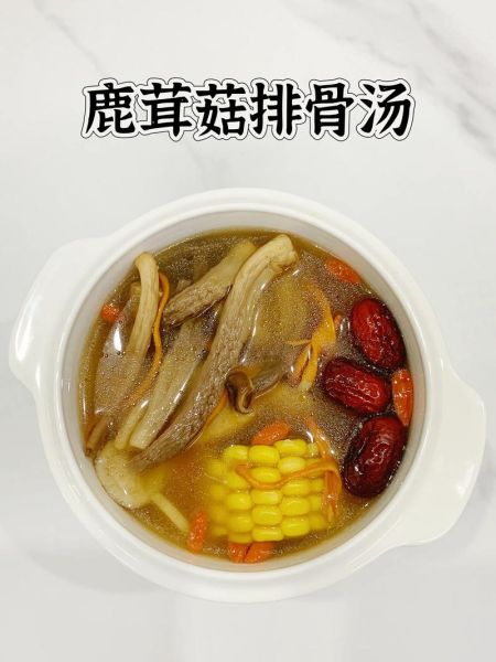 鹿茸菇的功效与作用_鹿茸菇怎么吃最好-第2张图片-山城妙识