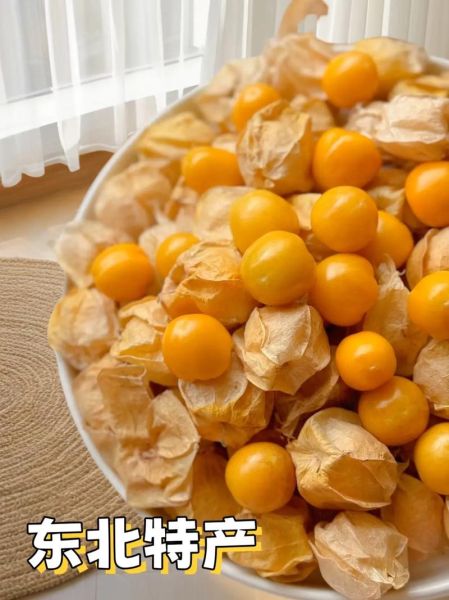 菇娘果怎么吃_菇娘果可以带皮吃吗-第1张图片-山城妙识 菇娘果怎么吃_菇娘果可以带皮吃吗-第1张图片-山城妙识