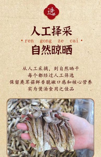 鹿茸菇的功效与作用_鹿茸菇怎么吃最好-第3张图片-山城妙识