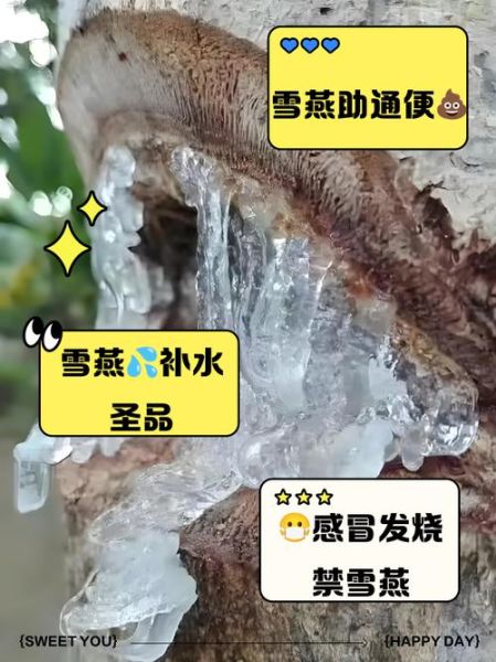 湿气重可以吃雪燕吗_雪燕会加重湿气吗-第1张图片-山城妙识