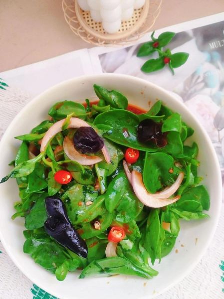 穿心莲菜的功效与作用_穿心莲菜怎么吃最好-第3张图片-山城妙识