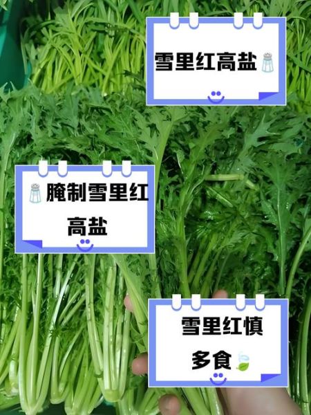 雪里红是寒性还是热性_雪里红吃多了会上火吗-第1张图片-山城妙识