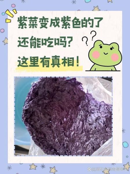 紫菜是发物吗_紫菜过敏人群能吃吗-第3张图片-山城妙识