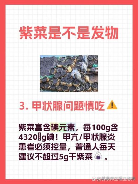 紫菜是发物吗_紫菜过敏人群能吃吗-第2张图片-山城妙识