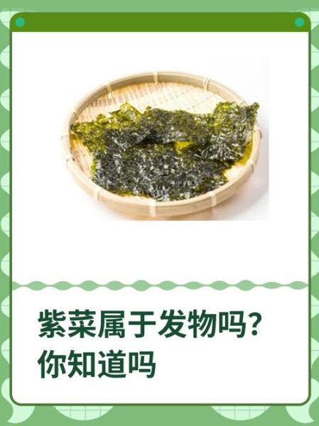 紫菜是发物吗_紫菜过敏人群能吃吗-第1张图片-山城妙识