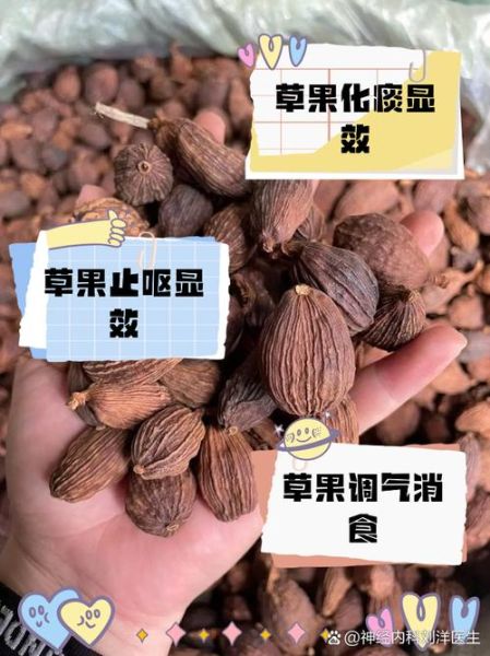 草果长什么样_草果和砂仁的区别-第3张图片-山城妙识 草果长什么样_草果和砂仁的区别-第3张图片-山城妙识
