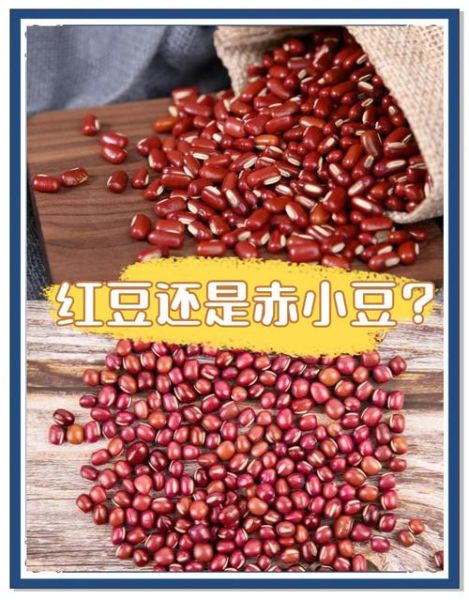 红豆和赤小豆一样吗_赤小豆与红豆的区别-第3张图片-山城妙识