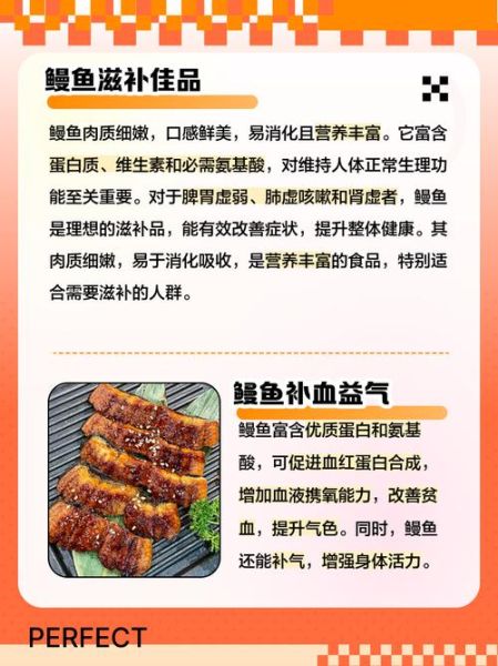 鳗鱼的营养价值_鳗鱼适合什么人吃-第1张图片-山城妙识