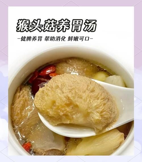 猪肚炖猴头菇治胃病吗_猴头菇养胃真相-第2张图片-山城妙识 猪肚炖猴头菇治胃病吗_猴头菇养胃真相-第2张图片-山城妙识