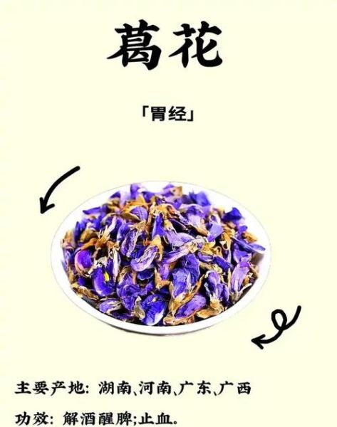 葛花解酲汤方歌功效_葛花解酲汤怎么喝-第1张图片-山城妙识 葛花解酲汤方歌功效_葛花解酲汤怎么喝-第1张图片-山城妙识