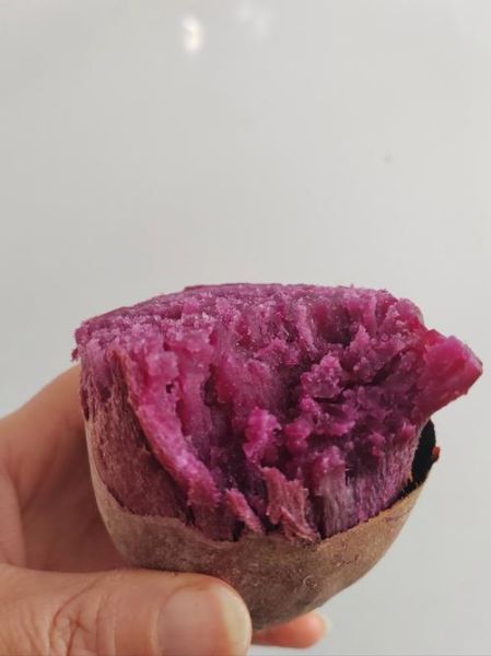 紫薯和什么一起吃最好_紫薯最佳搭配食物-第3张图片-山城妙识