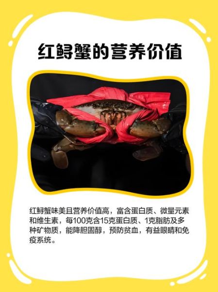 鲟蟹是什么_鲟蟹和帝王蟹区别-第3张图片-山城妙识