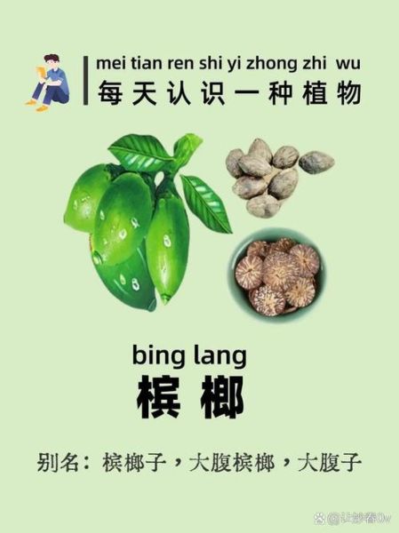 吃槟榔有什么好处和坏处_长期嚼槟榔会致癌吗-第1张图片-山城妙识