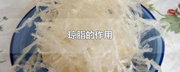琼脂怎么做_琼脂的做法大全简单-第2张图片-山城妙识