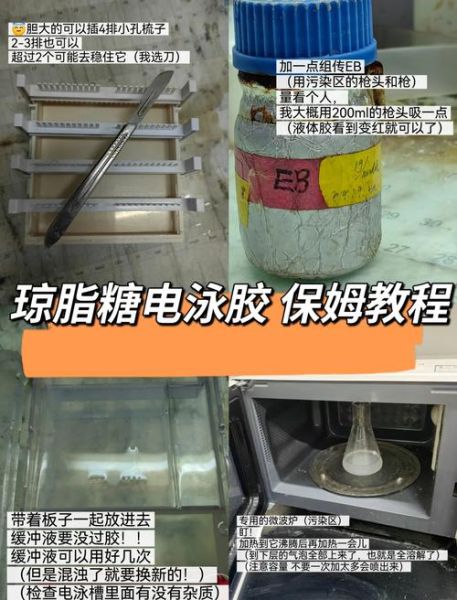 琼脂怎么做_琼脂的做法大全简单-第1张图片-山城妙识