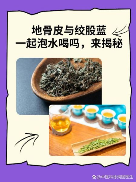 绞股蓝茶的功效与作用_适合什么人喝-第2张图片-山城妙识