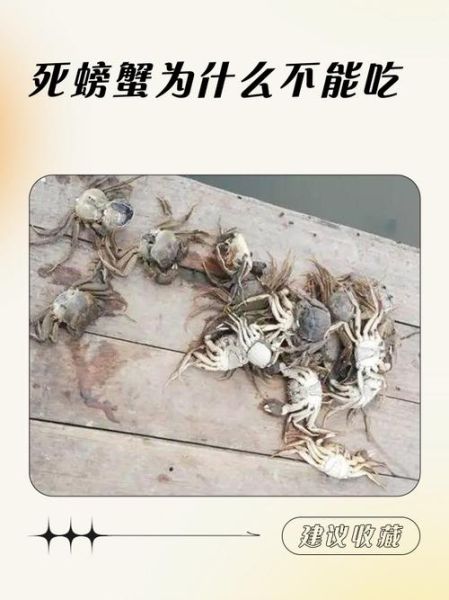 螃蟹死了还能吃吗_死了的螃蟹有毒吗-第1张图片-山城妙识