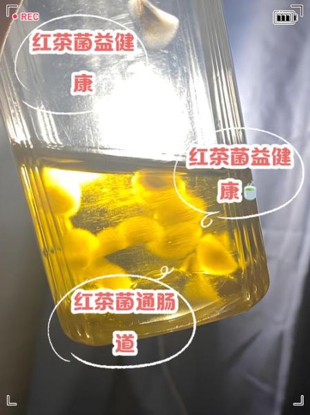 红茶菌致癌是真的吗_长期喝红茶菌会得癌症吗-第1张图片-山城妙识