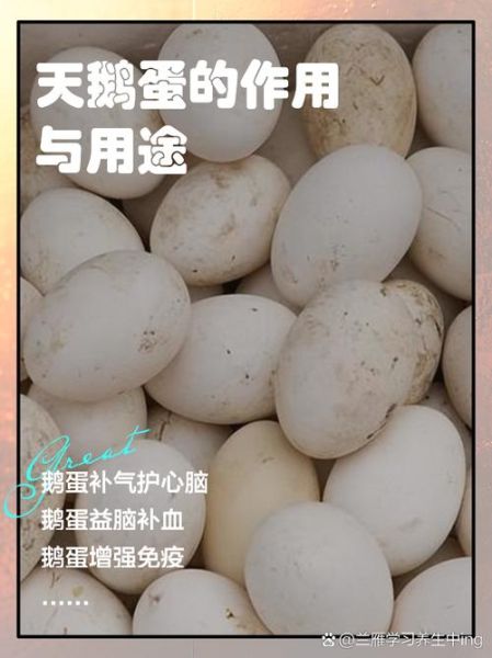 鹅蛋怎么做好吃_鹅蛋去胎毒是真的吗-第3张图片-山城妙识