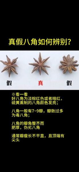 八角花椒的区别_八角花椒哪个更香-第1张图片-山城妙识