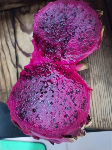 红心火龙果热量高吗_红心火龙果减肥能吃吗-第3张图片-山城妙识 红心火龙果热量高吗_红心火龙果减肥能吃吗-第3张图片-山城妙识