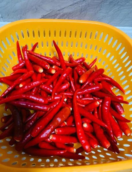 自制剁辣椒的做法窍门_如何保存不霉变-第1张图片-山城妙识 自制剁辣椒的做法窍门_如何保存不霉变-第1张图片-山城妙识