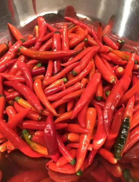 自制剁辣椒的做法窍门_如何保存不霉变-第2张图片-山城妙识 自制剁辣椒的做法窍门_如何保存不霉变-第2张图片-山城妙识