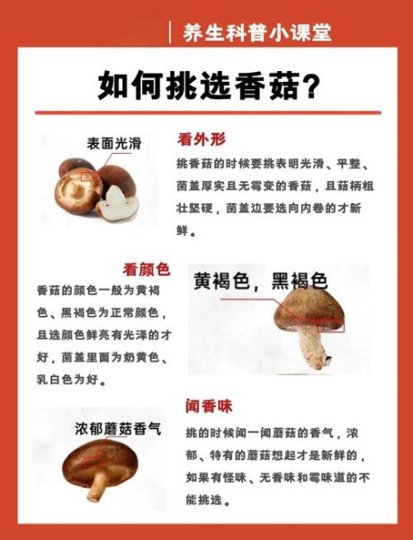 香菇不能和什么一起吃_香菇禁忌搭配有哪些-第2张图片-山城妙识 香菇不能和什么一起吃_香菇禁忌搭配有哪些-第2张图片-山城妙识