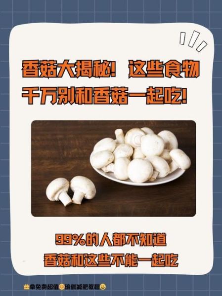 香菇不能和什么一起吃_香菇禁忌搭配有哪些-第3张图片-山城妙识 香菇不能和什么一起吃_香菇禁忌搭配有哪些-第3张图片-山城妙识