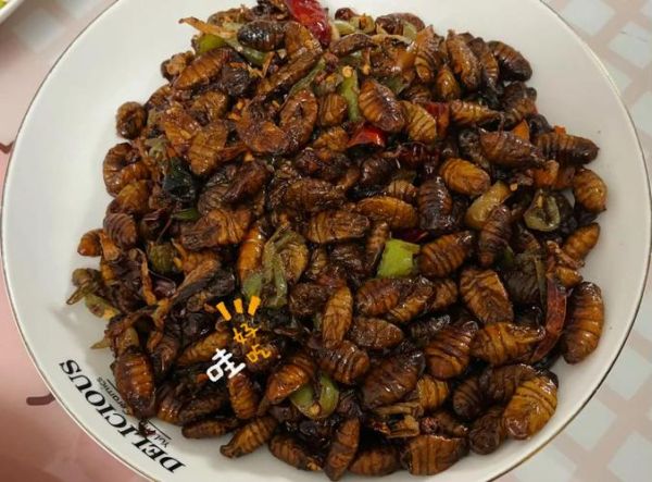 蚕蛹怎么清洗才能吃_蚕蛹清洗方法-第2张图片-山城妙识 蚕蛹怎么清洗才能吃_蚕蛹清洗方法-第2张图片-山城妙识