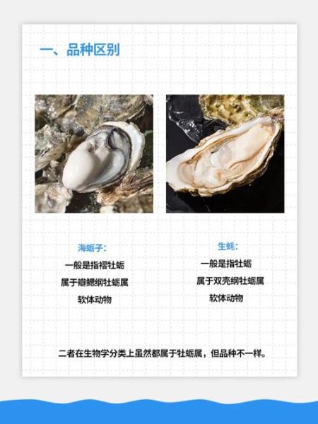 蚵仔是生蚝吗_蚵仔与生蚝区别-第3张图片-山城妙识 蚵仔是生蚝吗_蚵仔与生蚝区别-第3张图片-山城妙识